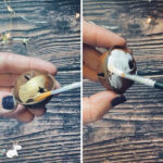 How To Make Rustic DIY Christmas Bells (Simple & Beautiful) - The Mummy ...