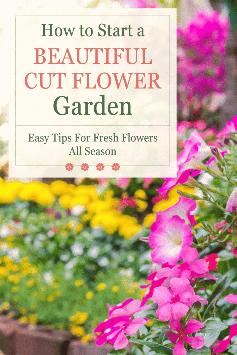 How to Start a Cut Flower Garden For Beginners - The Mummy Front