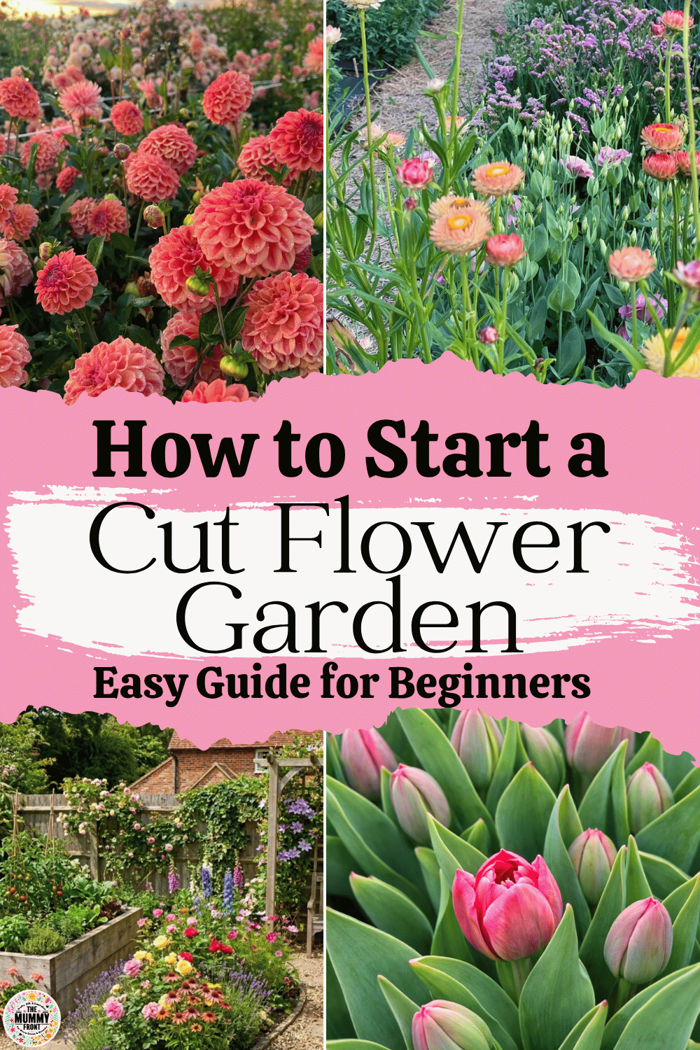 How to Start a Cut Flower Garden For Beginners - The Mummy Front